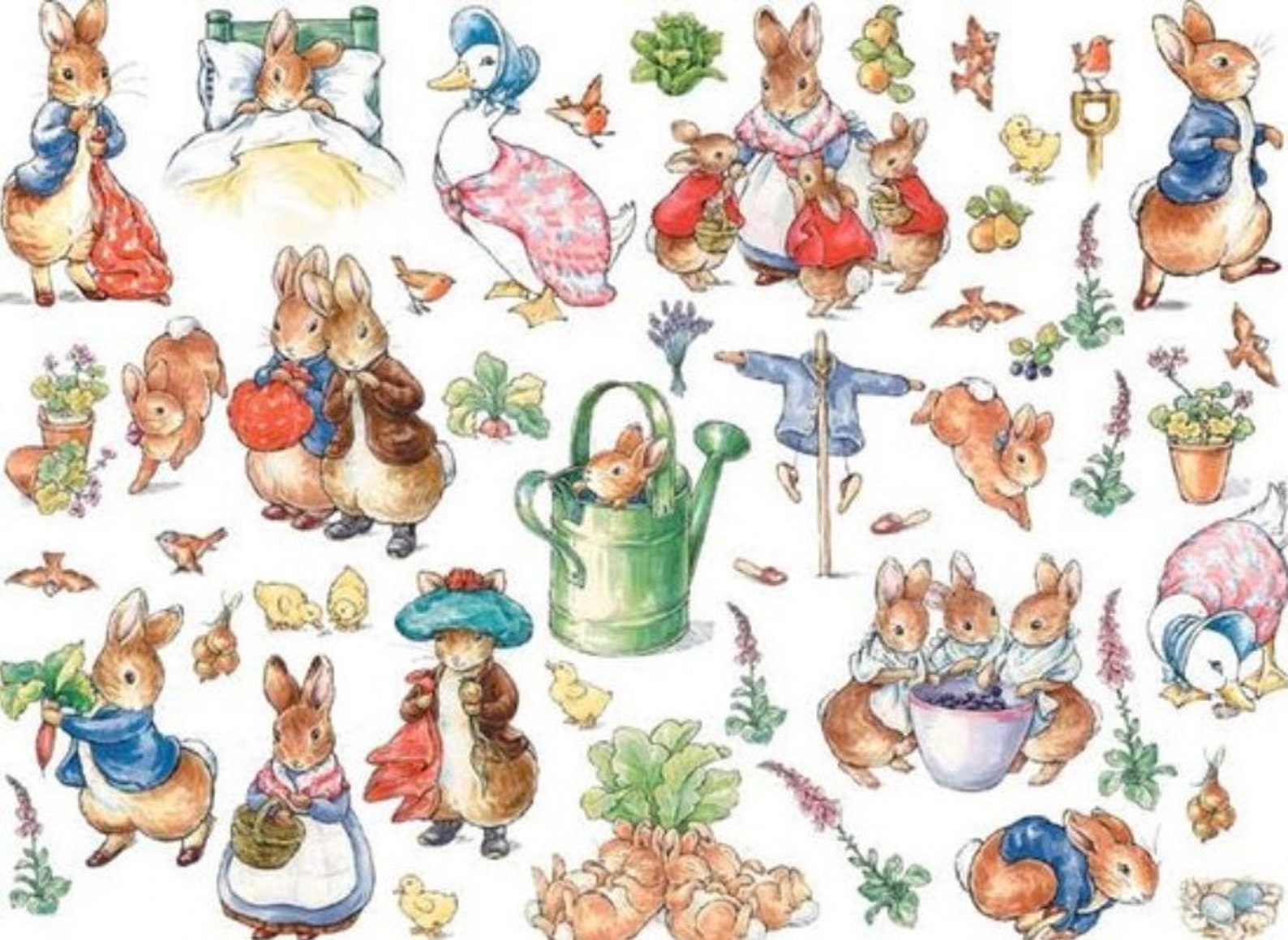 Beatrix Potter Fabric Peter Rabbit - Etsy