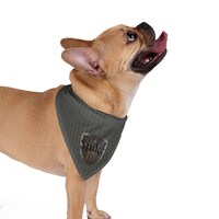 Dog Chain (Just for you!) - Etsy