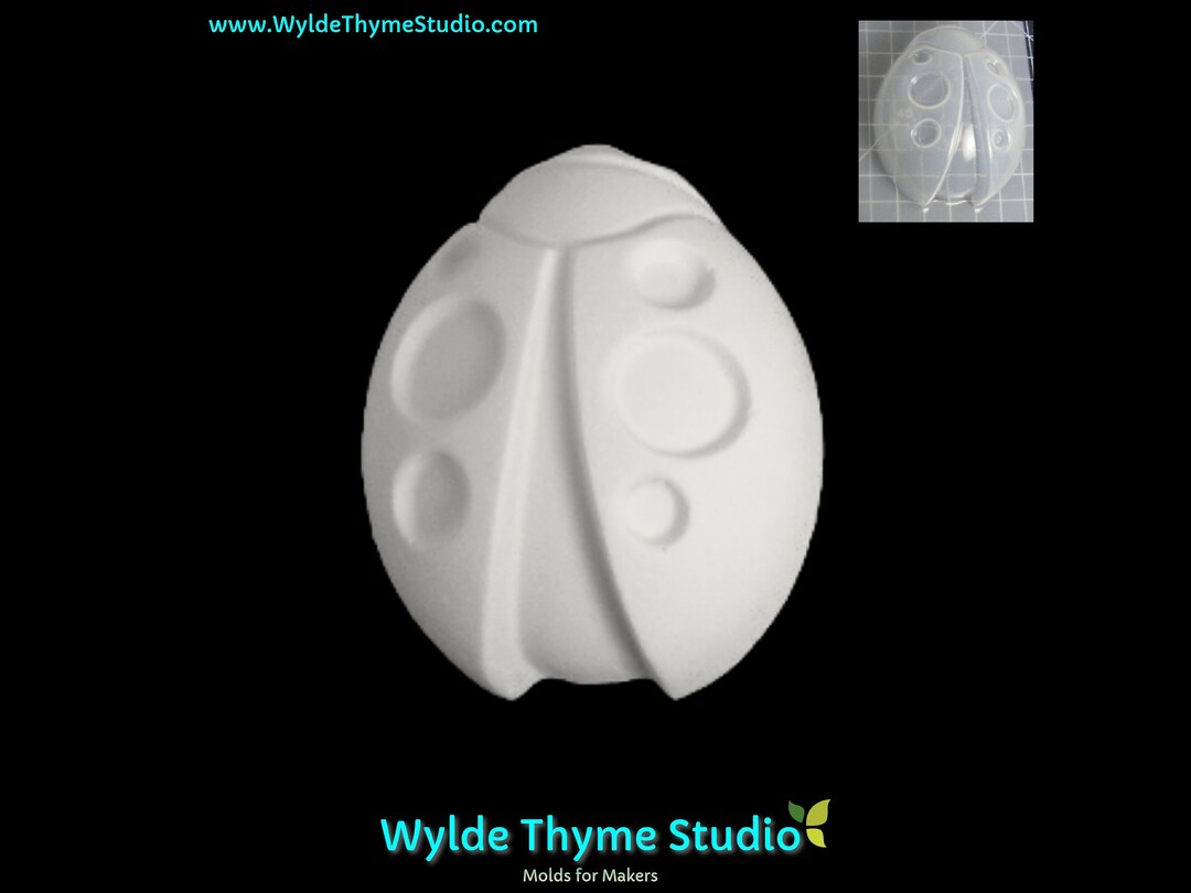 Ladybug Mold Plastic Mold for Bath Bombs Soap Mold Resin Mold Craft ...