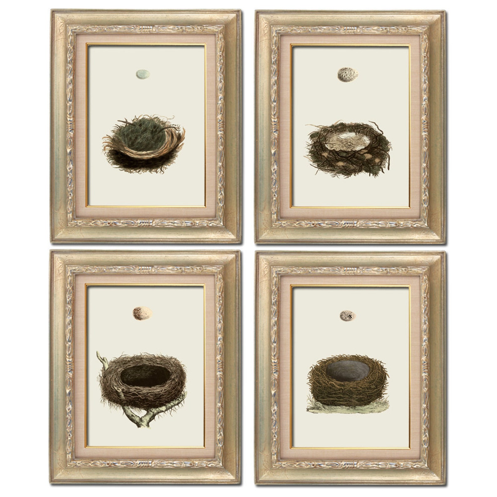 Vintage Bird's Nest Set of Four Digital Download: 8x10 Sized Images ...