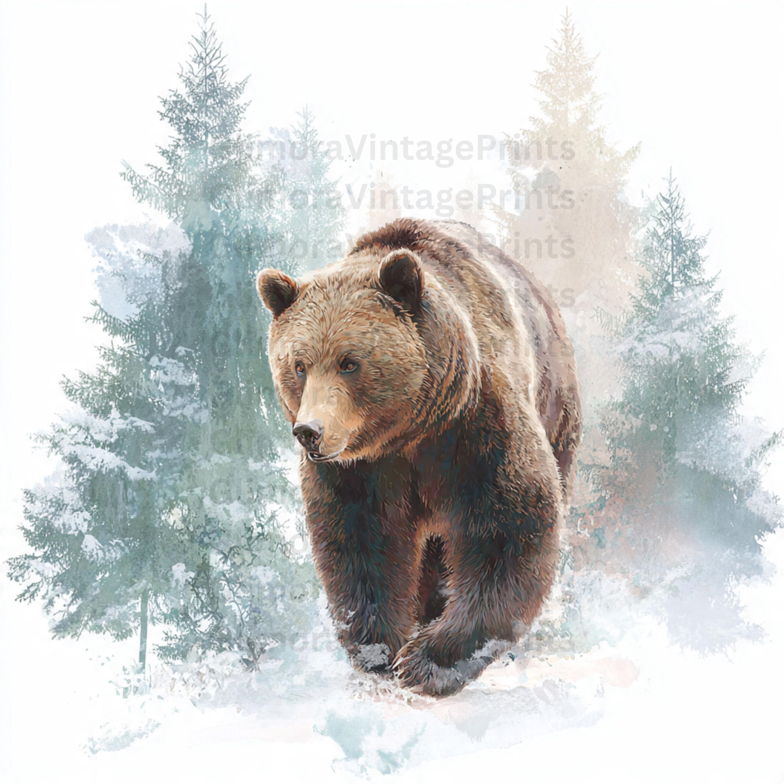 17 Watercolor Bear Clipart Bundle, Woodland Bear Illustration, Forest ...