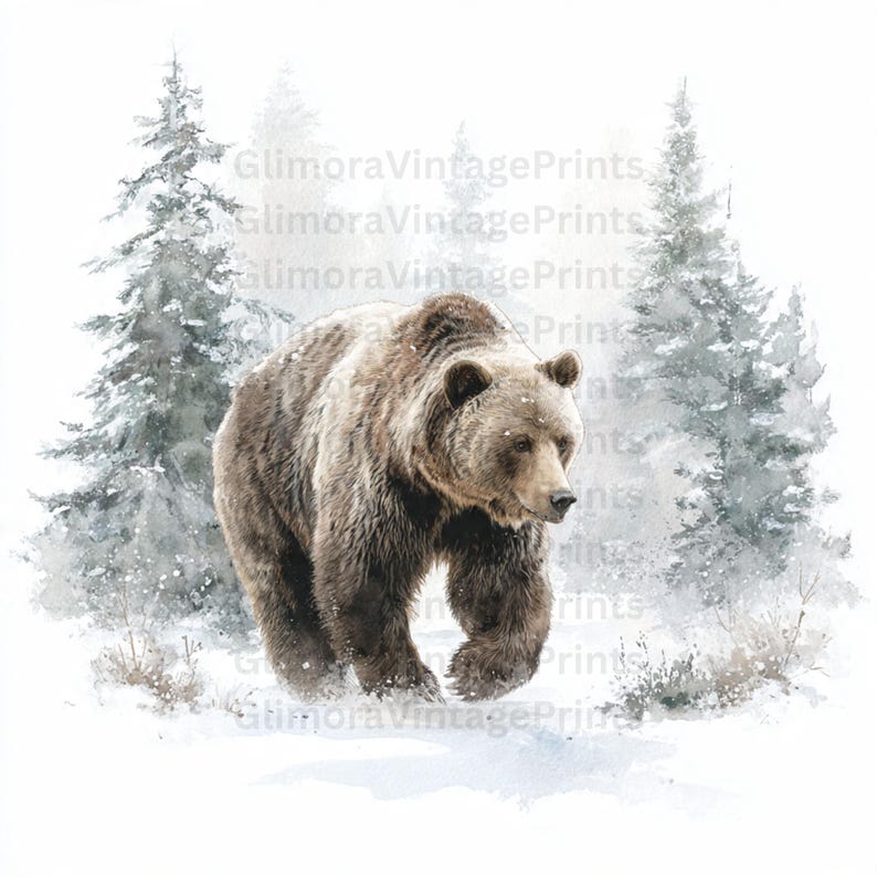 Watercolor Bear Clipart Bundle, Forest Animal Illustrations (300 DPI ...