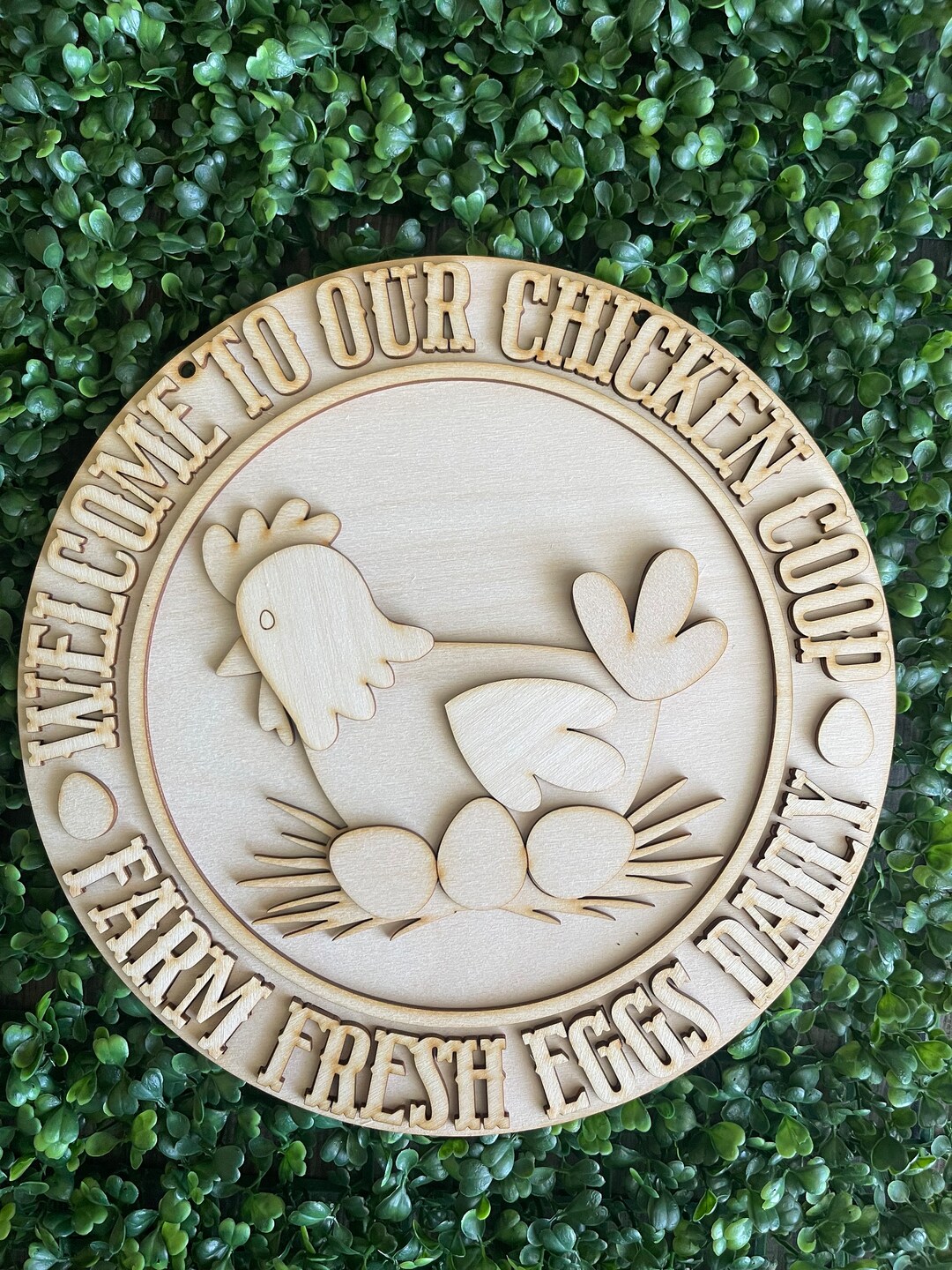 Chicken DIY Sign - Coop Hen House Run Farm Ranch Eggs Home Decor Door ...