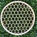 Chicken Wire DIY Sign - Coop Hen House Run Farm Ranch Eggs Home Decor ...