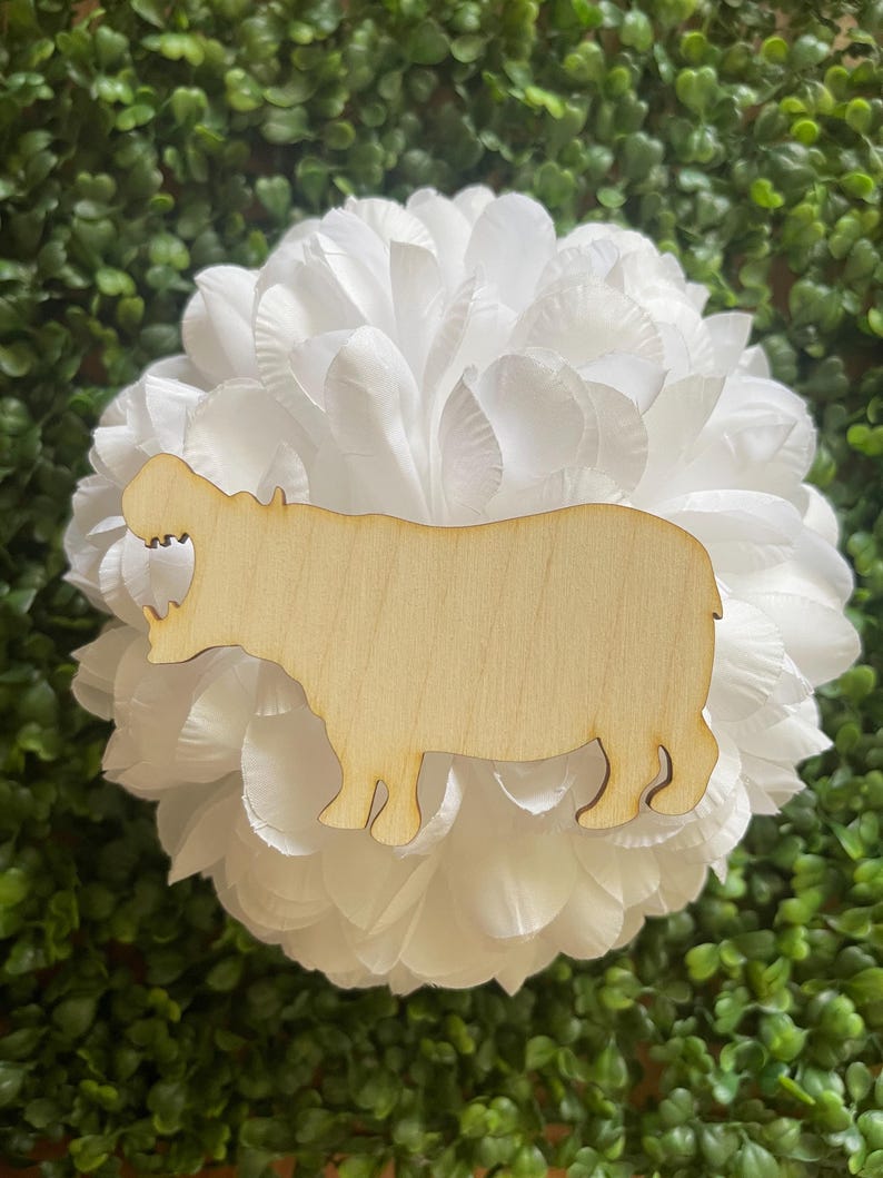 Hippo Wood Cutouts - Glitter DIY Natural Versions High School ...