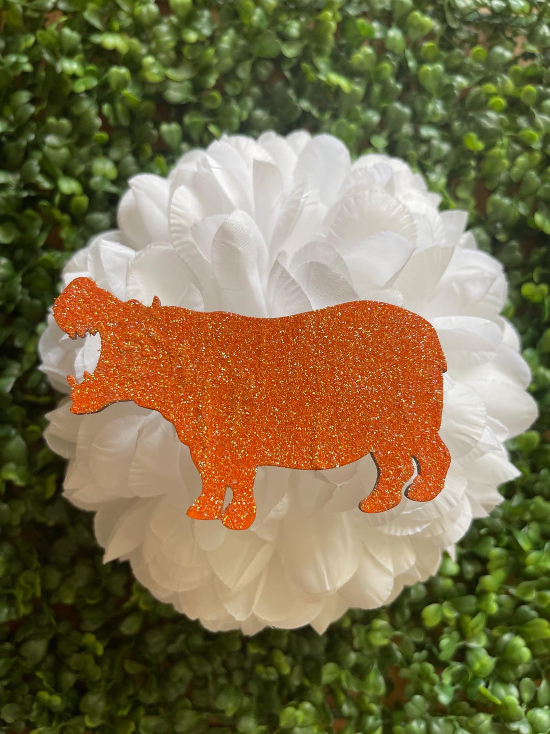 Hippo Wood Cutouts - Glitter DIY Natural Versions High School ...