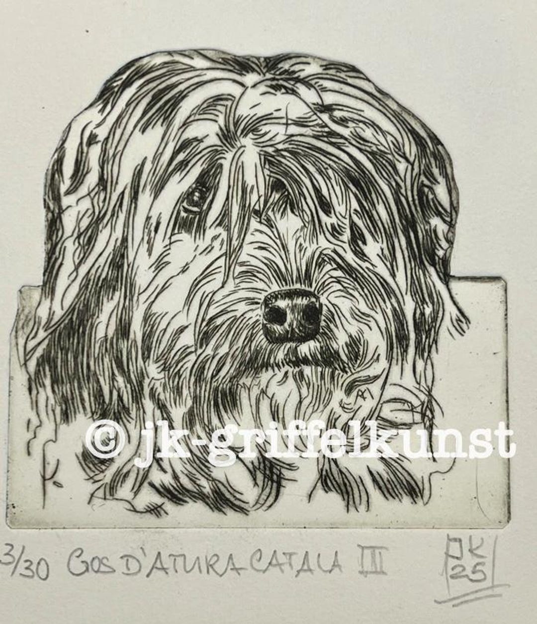 Etching. Gos D’atura Català III, Limited and Signed Original Etching - Etsy