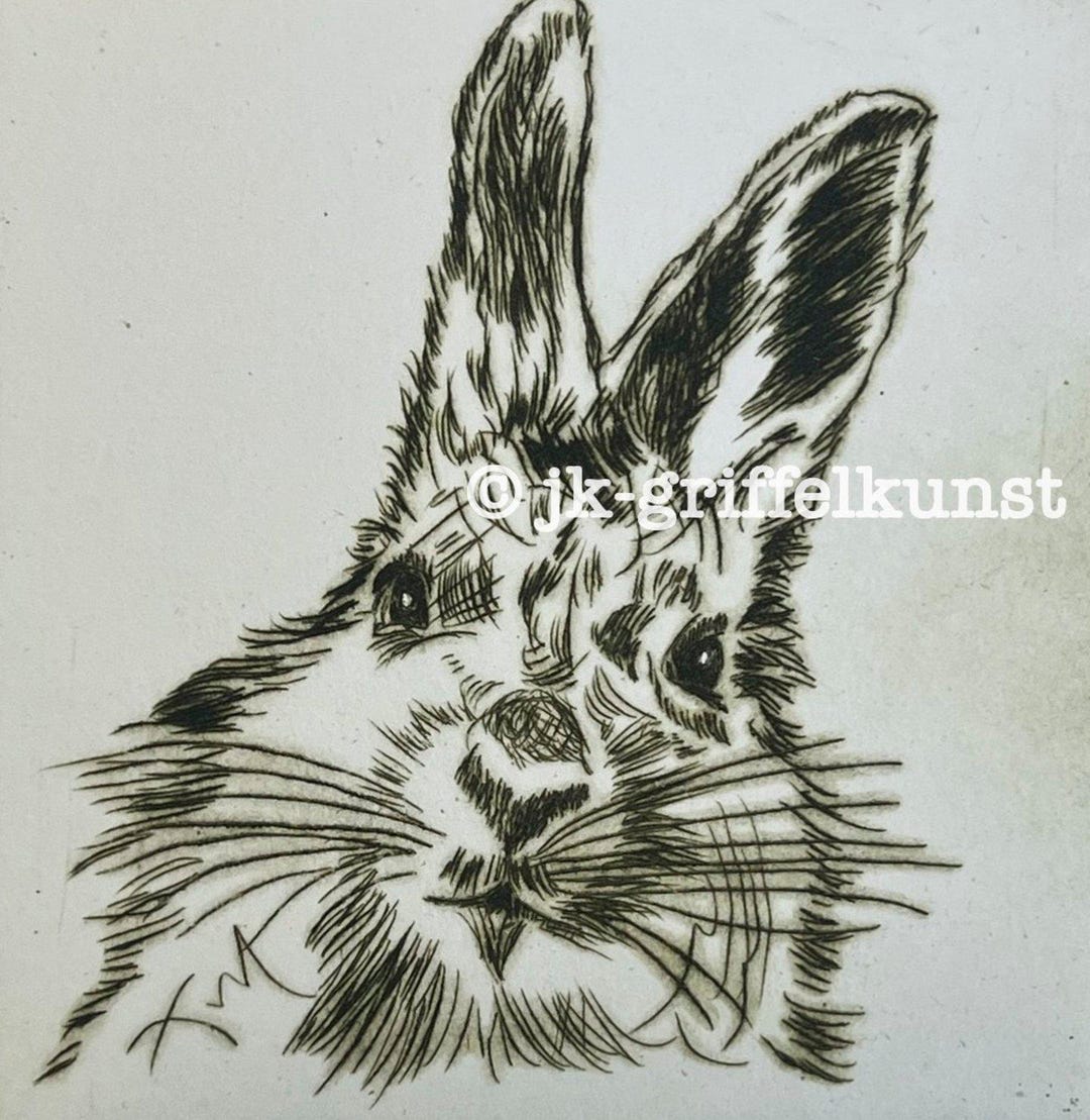 Etching. Snow Hare Norway, Limited Edition and Signed Original Etching ...