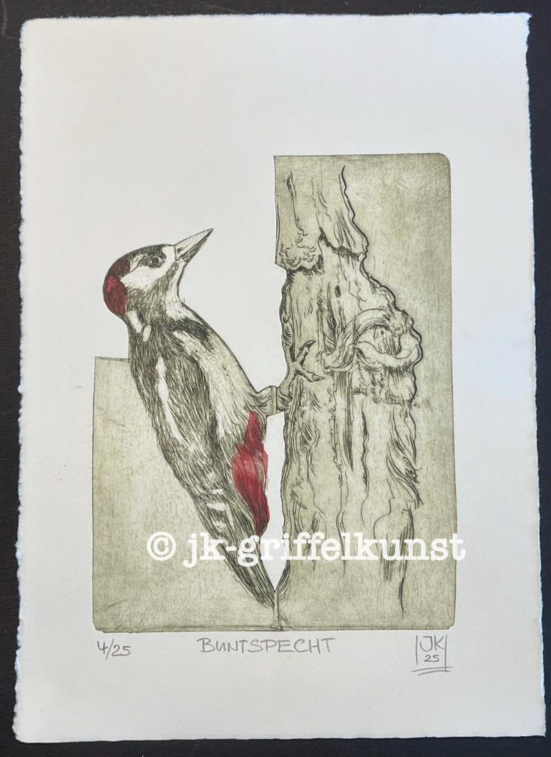 Etching. Great Spotted Woodpecker, Original Etching, Limited Edition ...