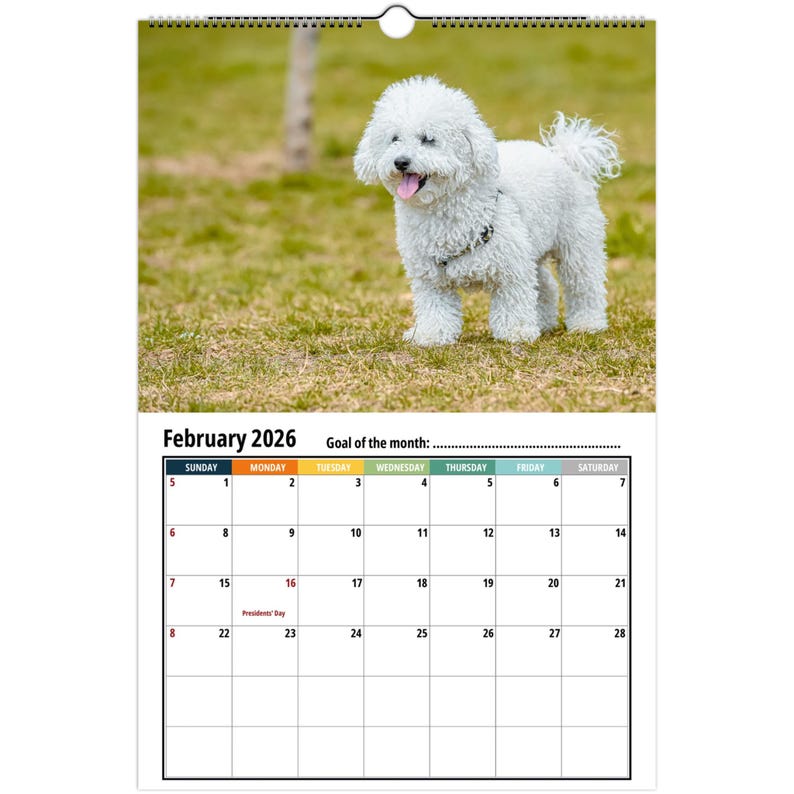 Poodle Wall Calendar 2026 - Etsy