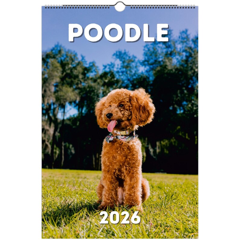 Poodle Wall Calendar 2026 - Etsy