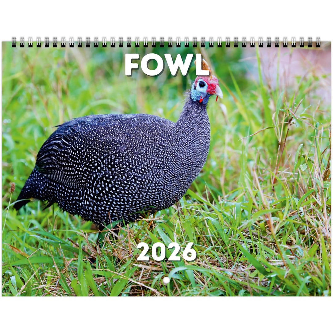 Fowl Wall Calendar 2026 - Etsy