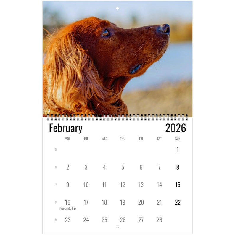 Irish Setter Wall Calendar 2026 - Etsy
