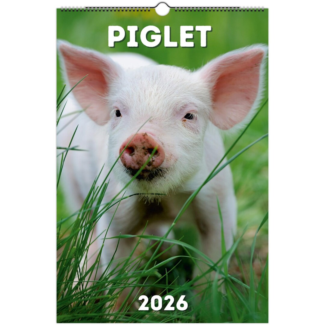 Piglet Wall Calendar 2026 - Etsy