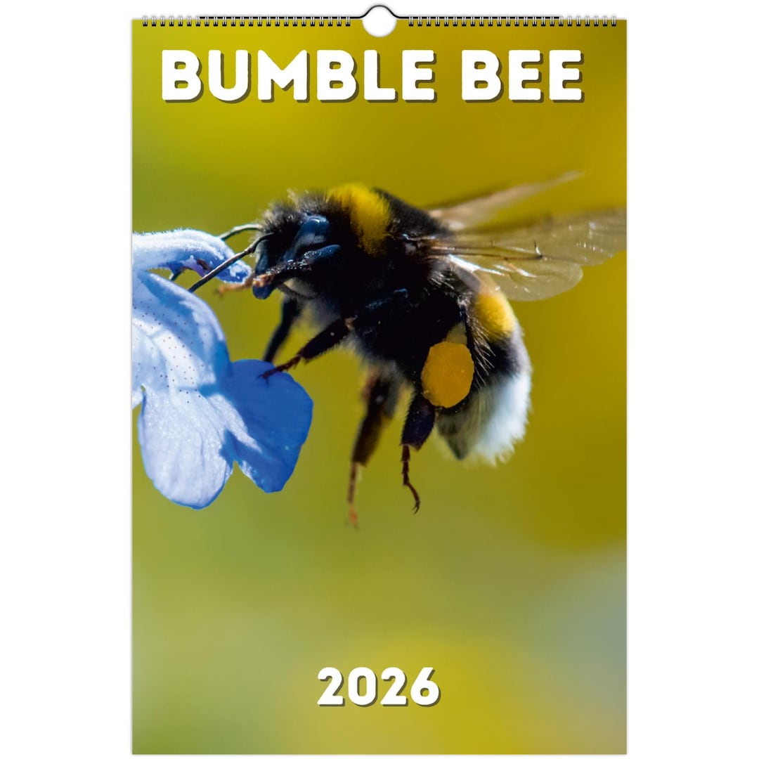 Bumble Bee Wall Calendar 2026 - Etsy