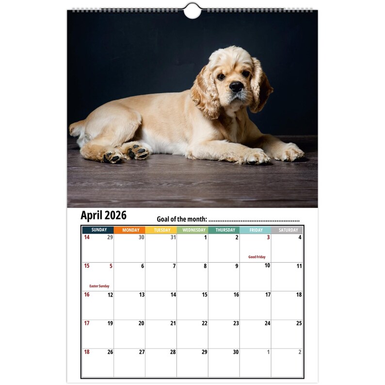 American Cocker Spaniel Wall Calendar 2026 - Etsy