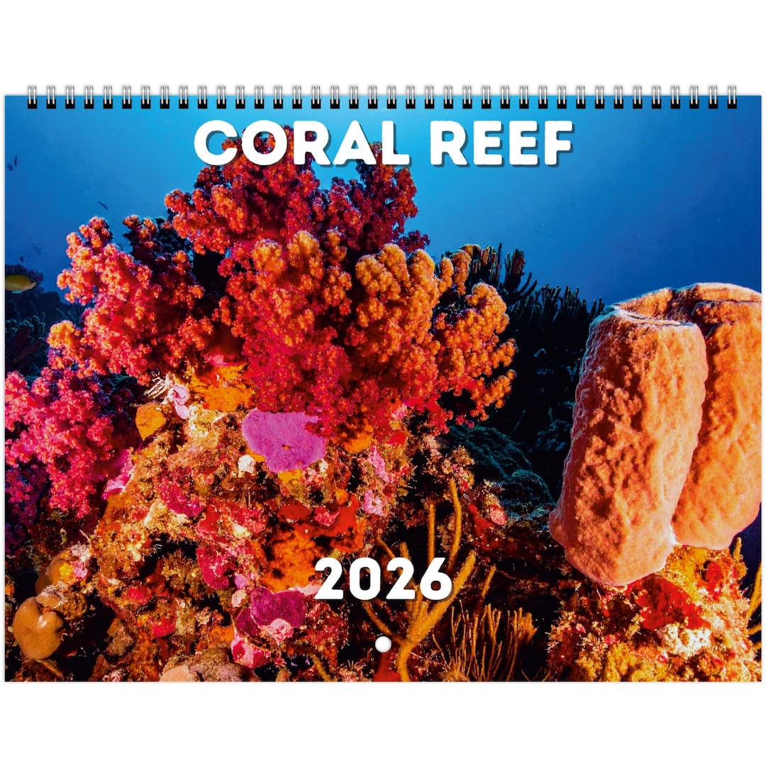 Coral Reef Wall Calendar 2026 - Etsy