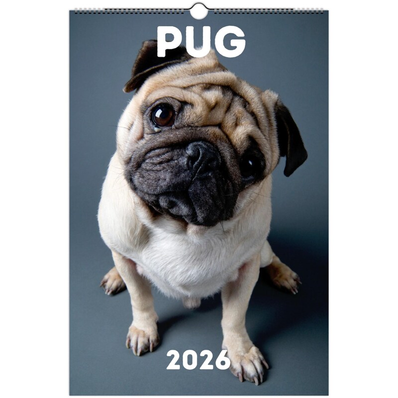 Pug Calendars 2026 - Etsy