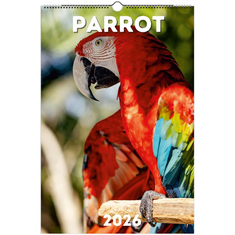 2026 Parrot Calendar - Etsy