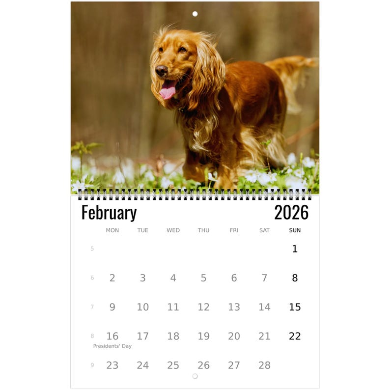 American Cocker Spaniel Wall Calendar 2026 - Etsy