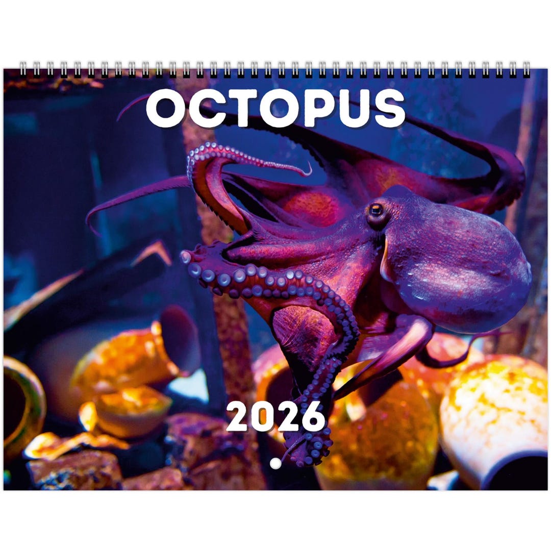 Octopus Wall Calendar 2026 - Etsy