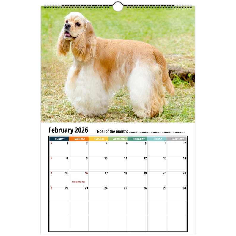 American Cocker Spaniel Wall Calendar 2026 - Etsy