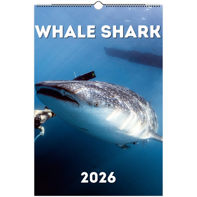 Whale Calendar 2026 - Etsy