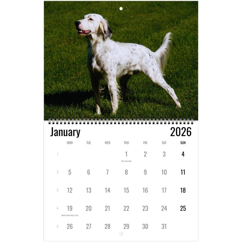 English Setter Wall Calendar 2026 - Etsy