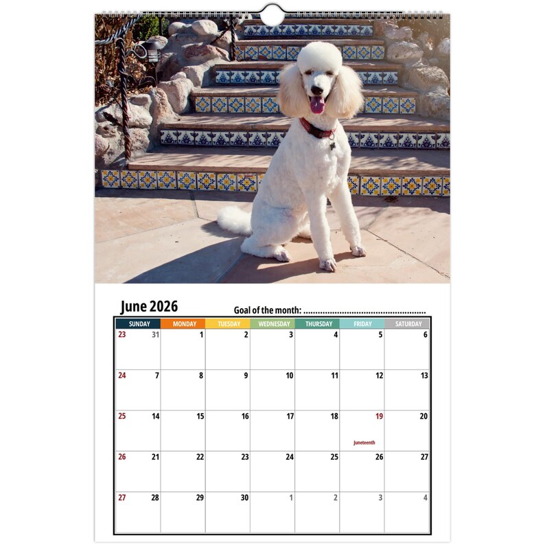 Poodle Wall Calendar 2026 - Etsy