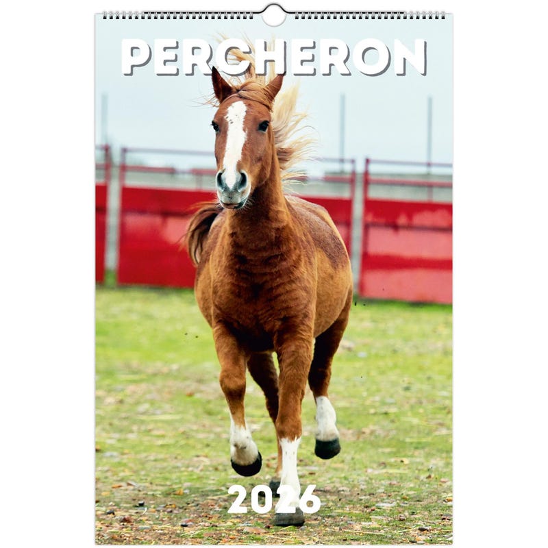 Percheron - Etsy
