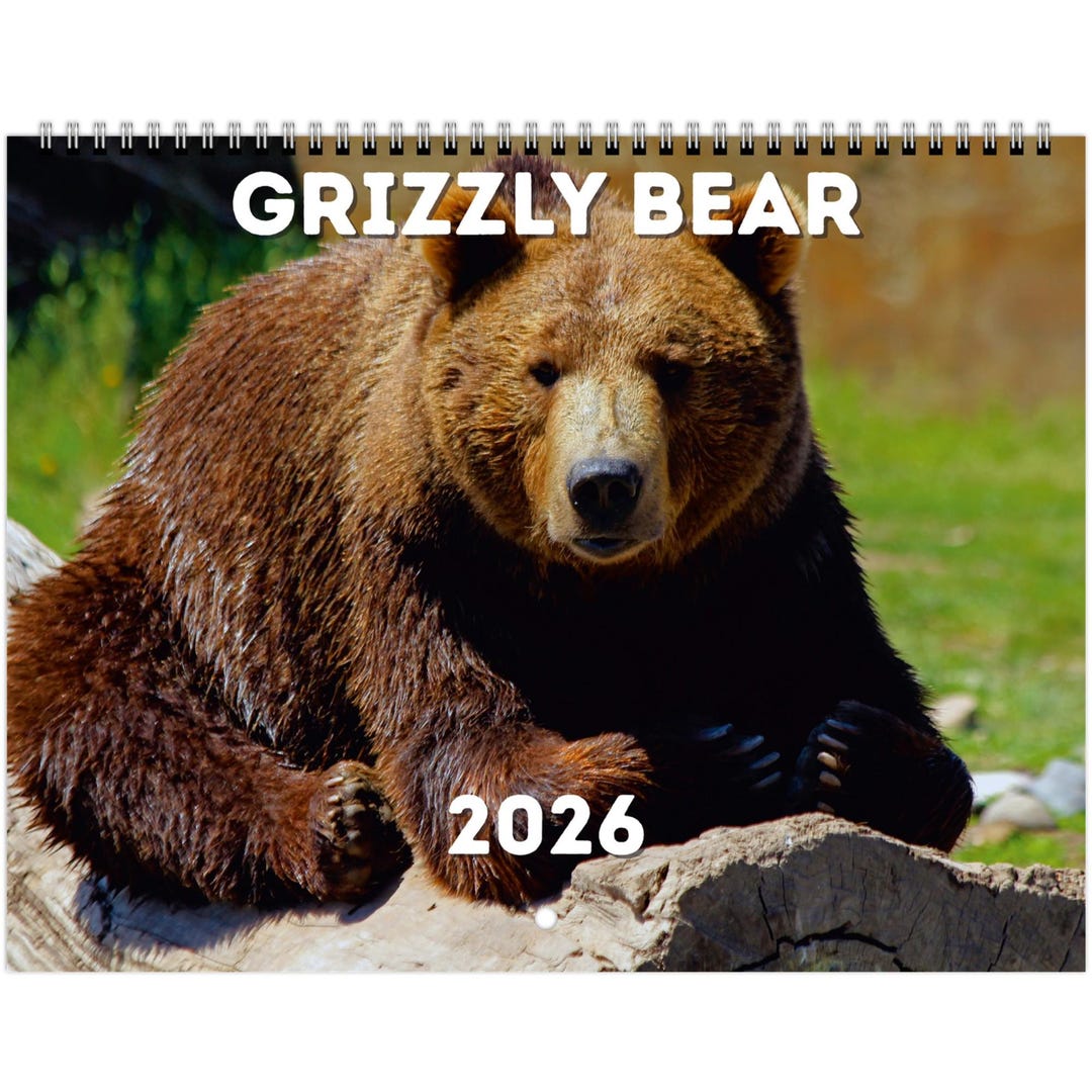 Grizzly Bear Wall Calendar 2026 - Etsy