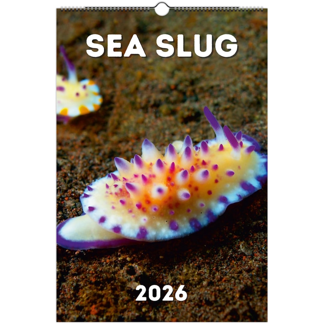Sea Slug Wall Calendar 2026 - Etsy