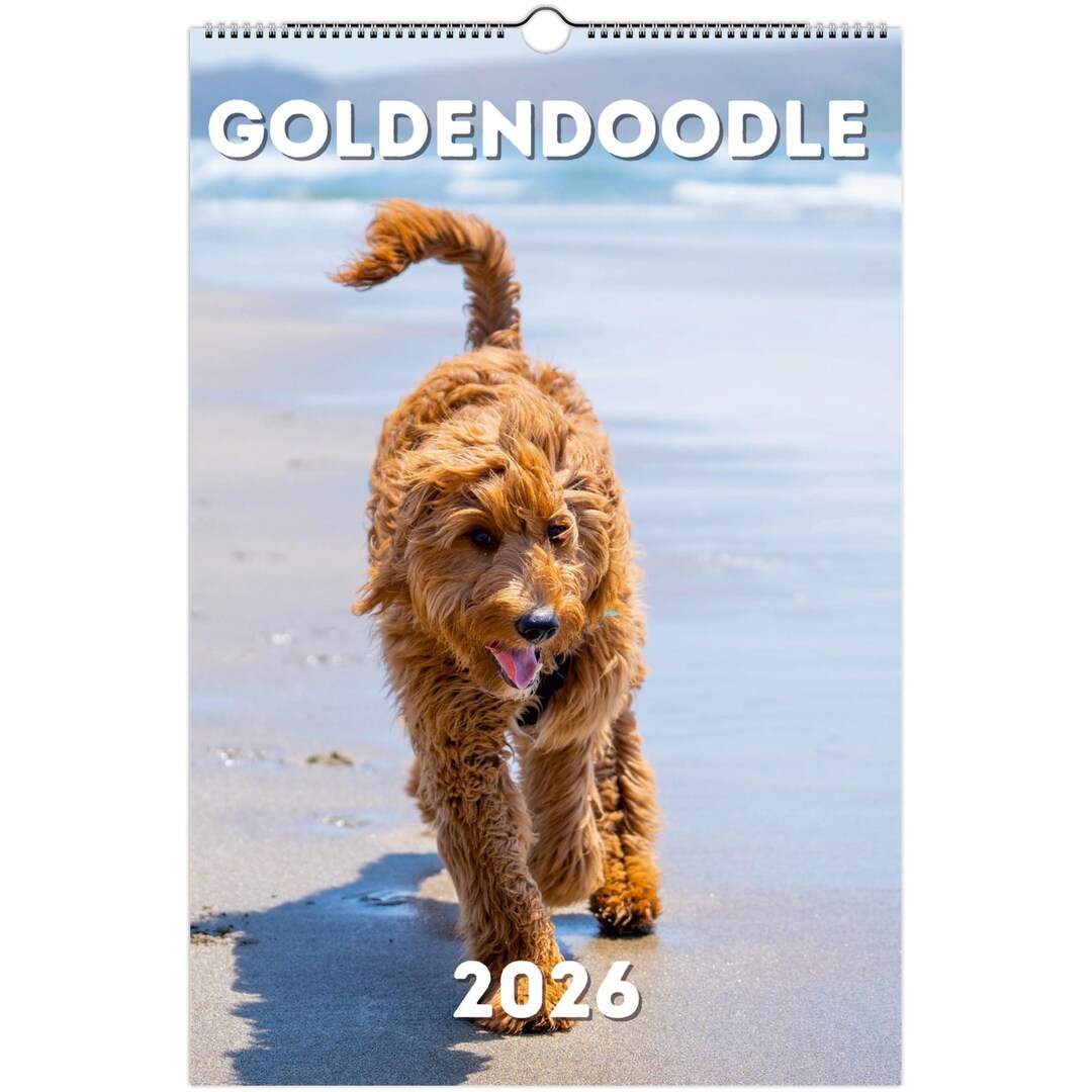 Goldendoodle Wall Calendar 2026 - Etsy