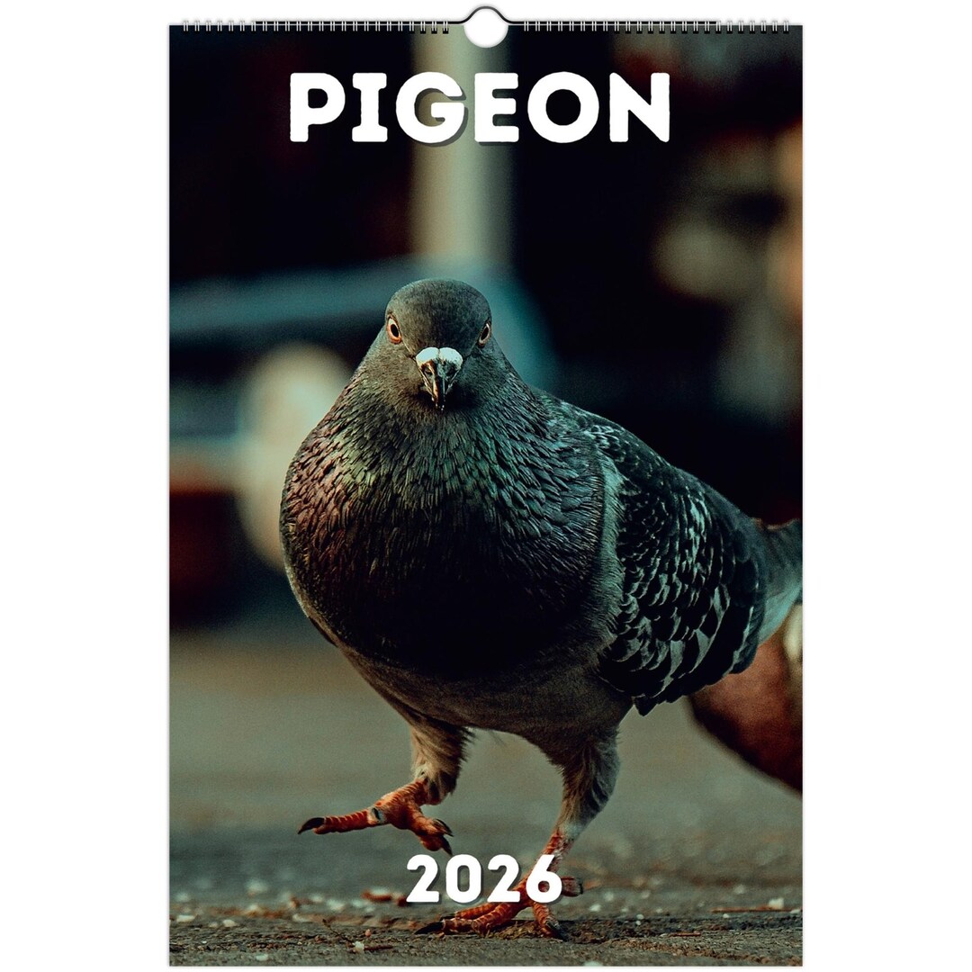 Pigeon Wall Calendar 2026 - Etsy