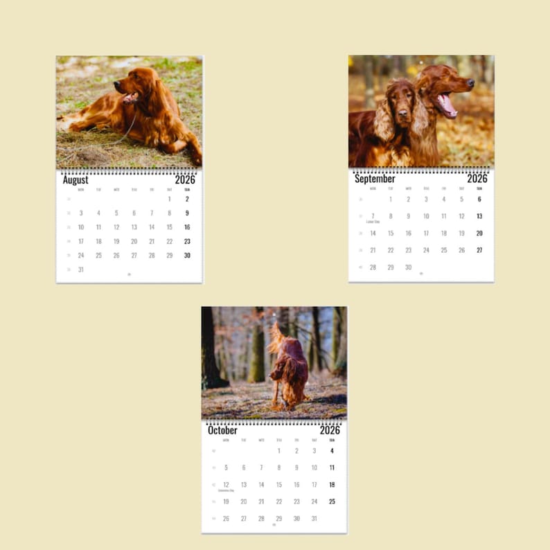 Irish Setter Wall Calendar 2026 - Etsy