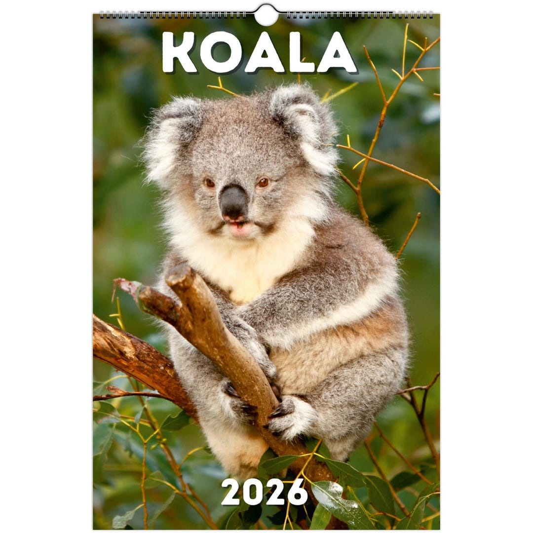 Koala Wall Calendar 2026 - Etsy