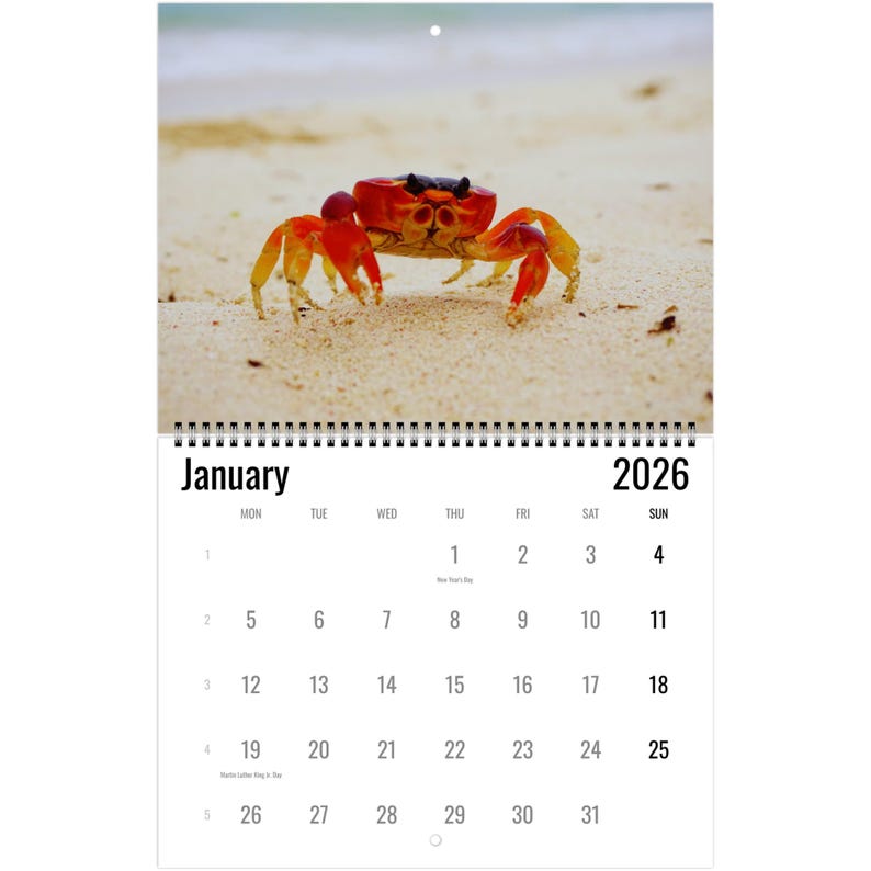 Crab Wall Calendar 2026 - Etsy