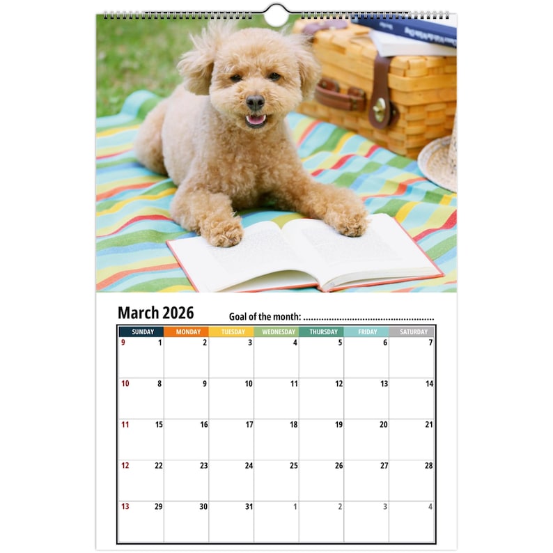 Poodle Wall Calendar 2026 - Etsy