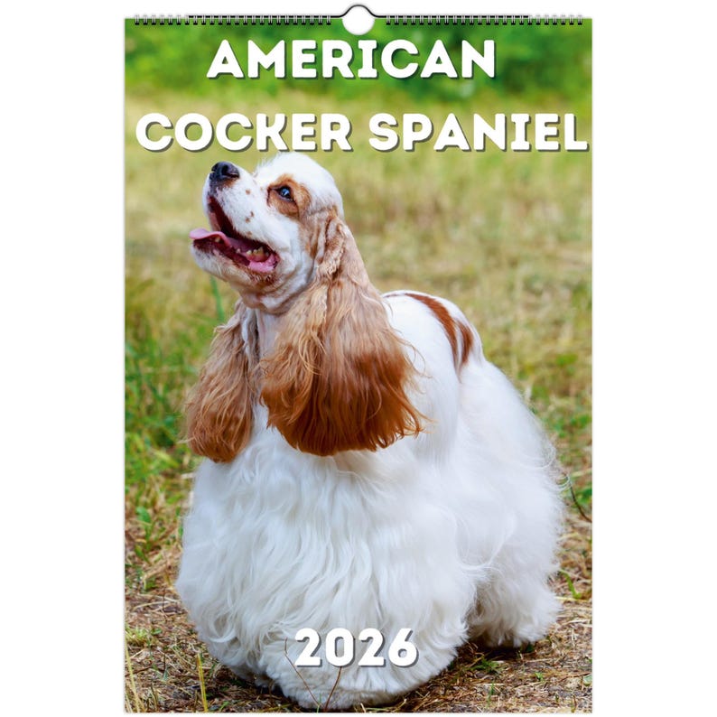 American Cocker Spaniel Wall Calendar 2026 - Etsy
