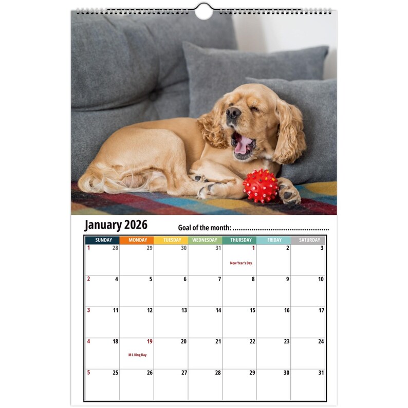 American Cocker Spaniel Wall Calendar 2026 - Etsy