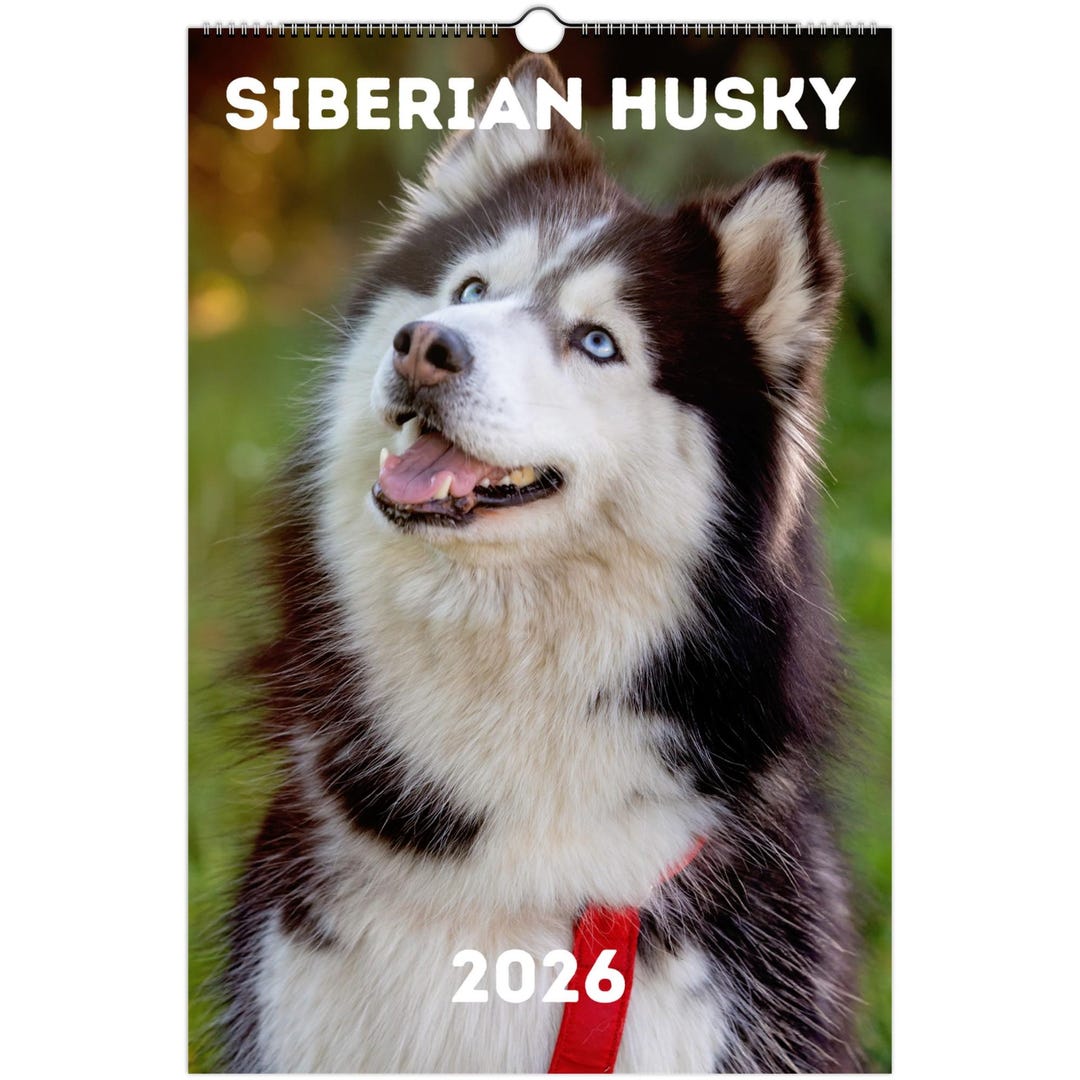 Siberian Husky Wall Calendar 2026 - Etsy