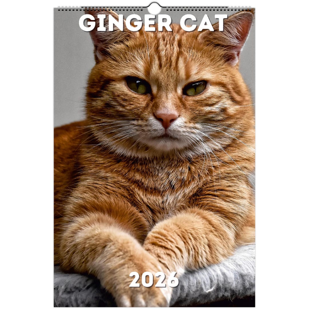 Ginger Cat Wall Calendar 2026 - Etsy UK
