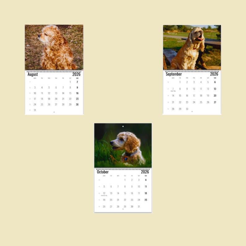 American Cocker Spaniel Wall Calendar 2026 - Etsy