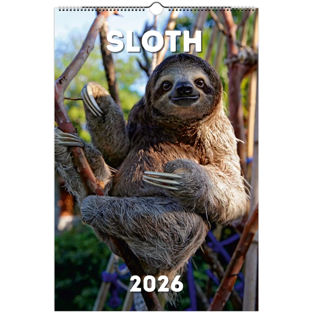 Sloth Wall Calendar 2026 - Etsy