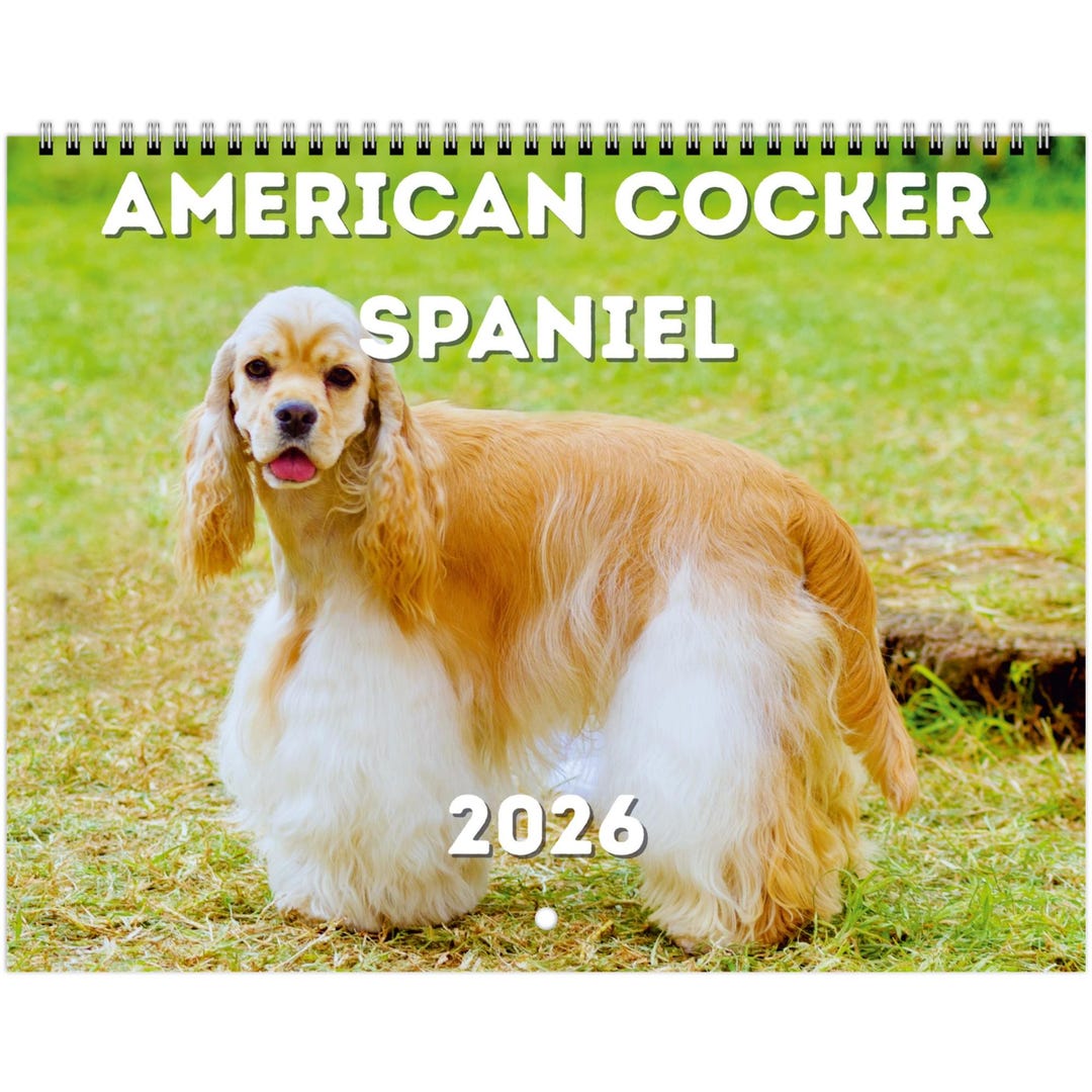 American Cocker Spaniel Wall Calendar 2026 - Etsy