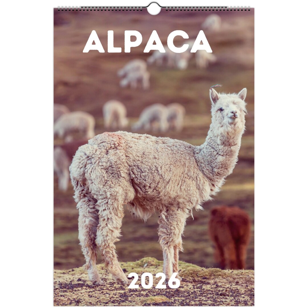 Alpaca Wall Calendar 2026 - Etsy