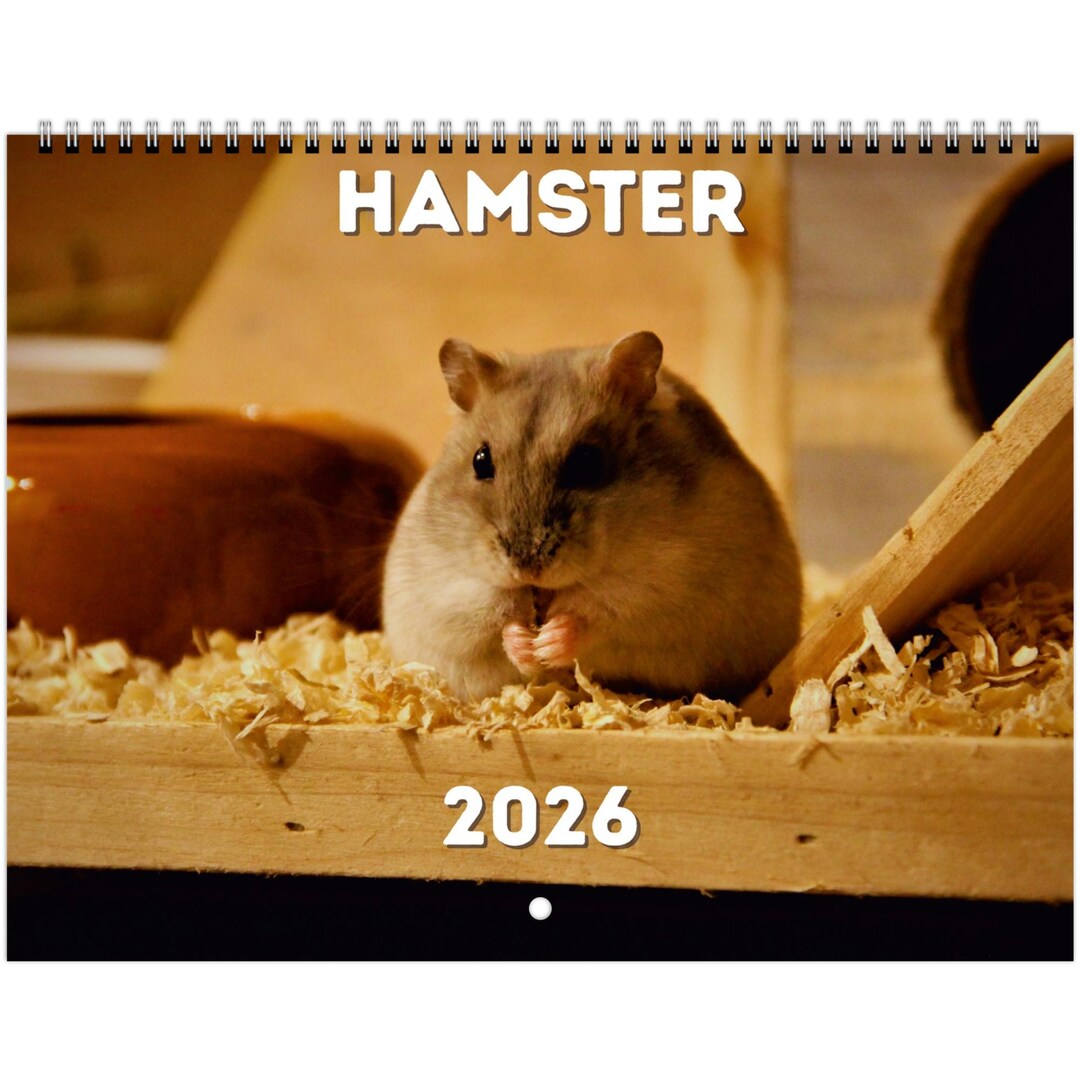 Hamster Wall Calendar 2026 - Etsy