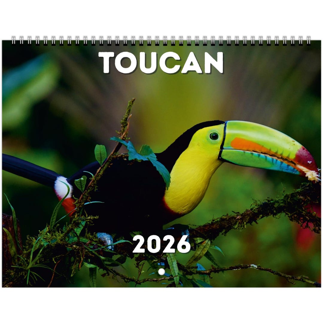 Toucan Wall Calendar 2026 - Etsy