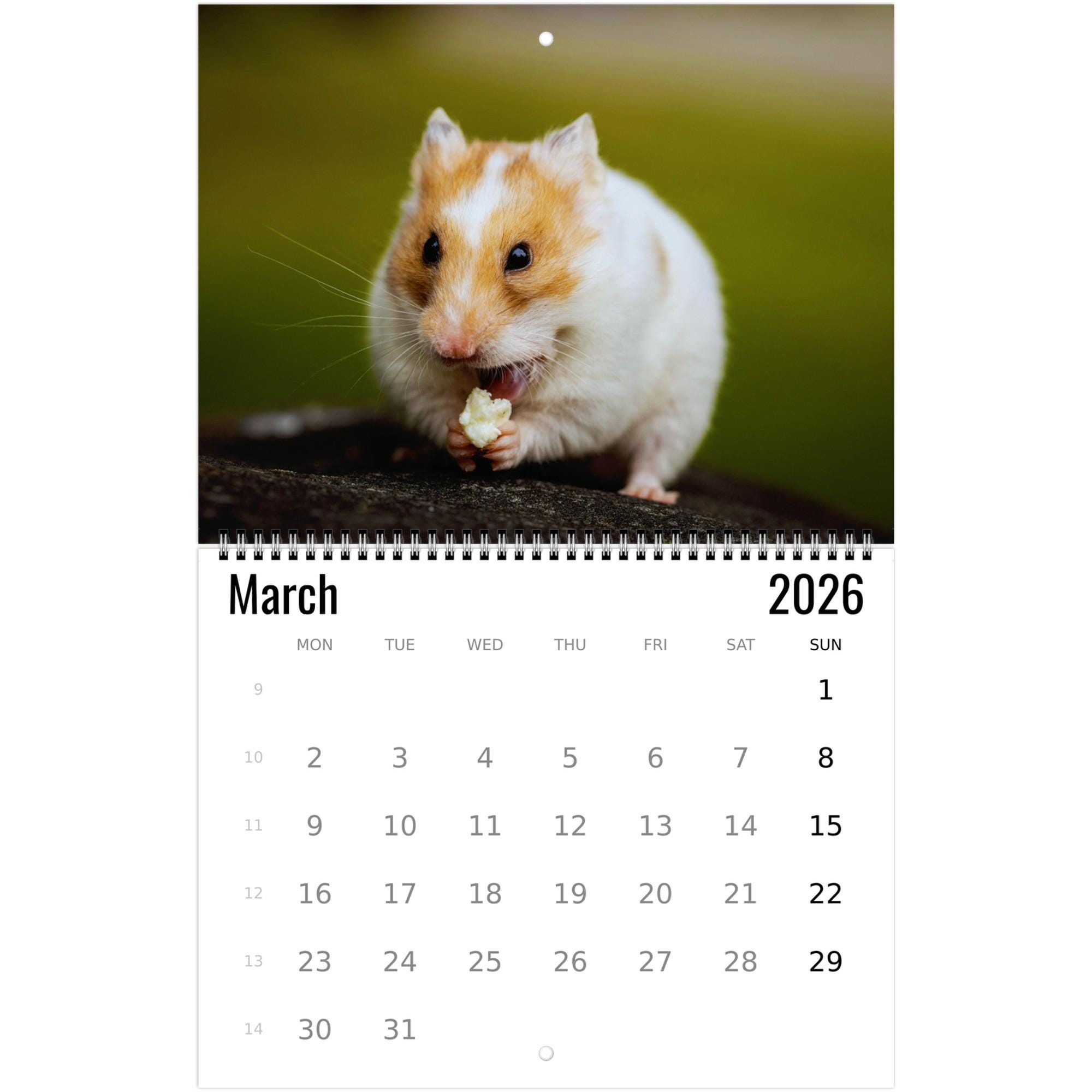 Hamster Wall Calendar 2026 - Etsy