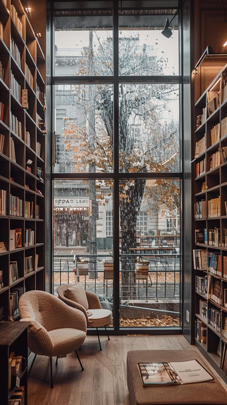 Cozy Bookstore Phone Wallpaper – Rainy Day (12 Images) (digital ...